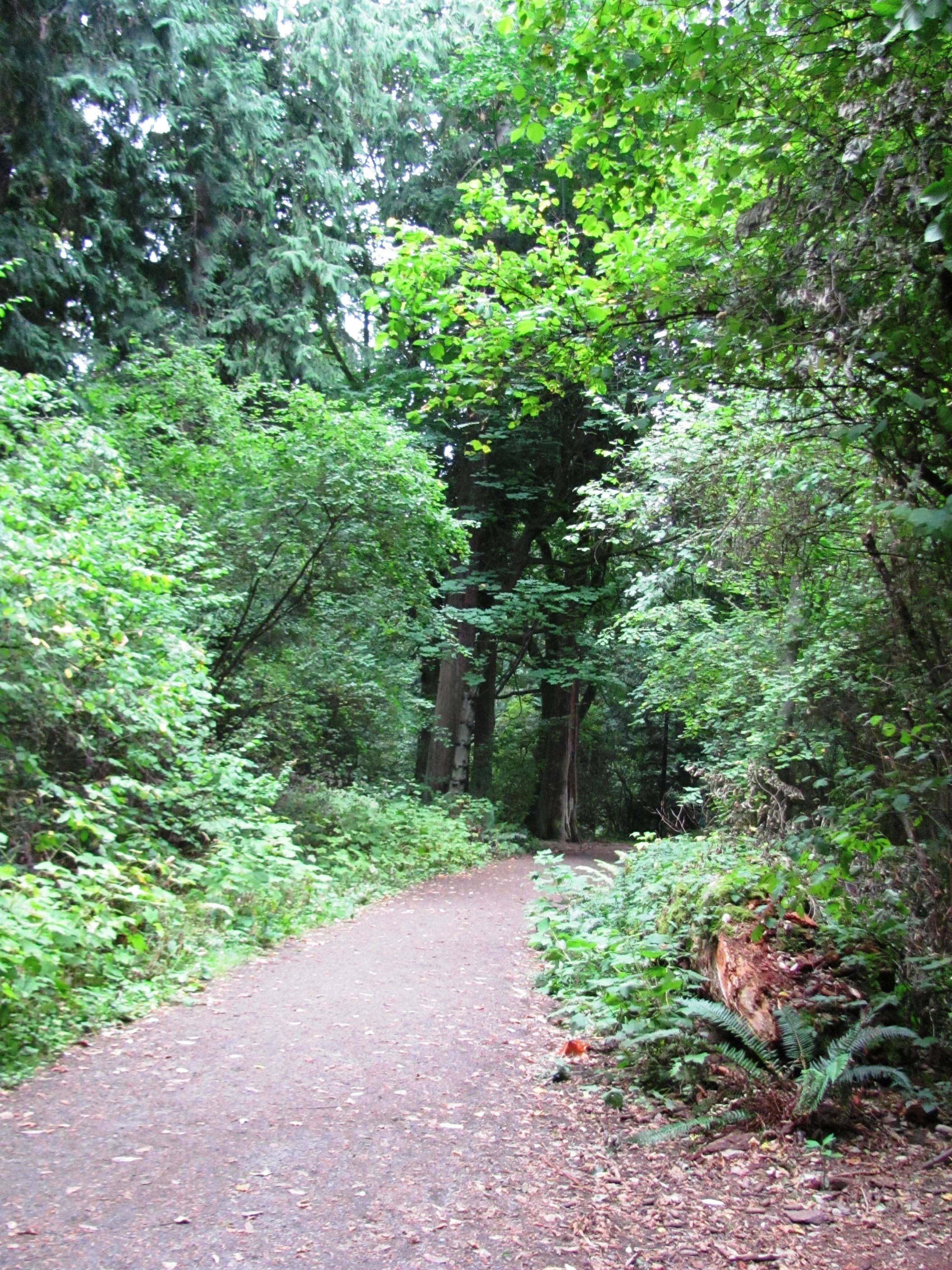 good_walk_spine_trail_vertical.jpg | Seward Park Audubon Center