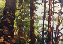 salia_small.jpg | Seward Park Audubon Center