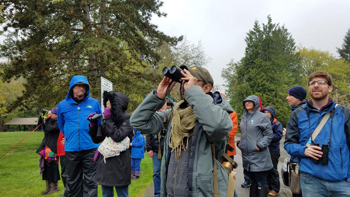 Bird Week 2018 | Seward Park Audubon Center